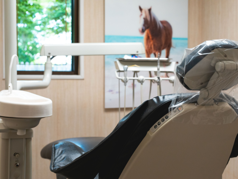 Services - Dr. Bogan